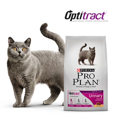 Pro Plan Urinary Gato Adulto pollo/arroz - MIMOSCOTA