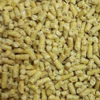 Alimento Balanceado Para Aves x 5 kg - MIMOSCOTA